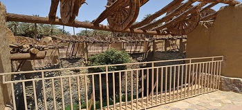 Saudi Arabia Alula Tour Packages